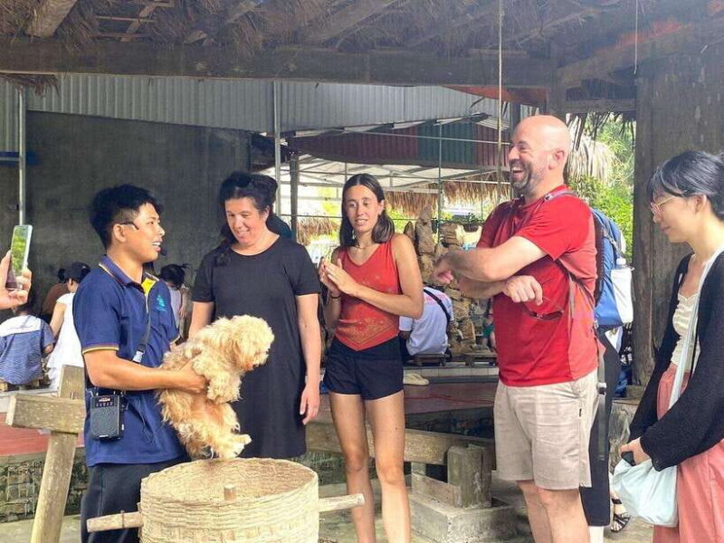 Hanoi: The Most Luxurious Lan Ha Bay Day Cruise with Biking - Practical Details and What You Should Know