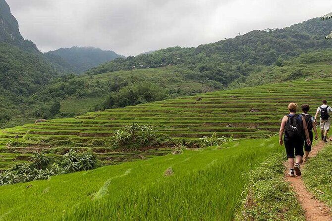 Hanoi to Mai Chau & Pu Luong: 2-Day with Pu Luong Overnight Stay - What Travelers Say