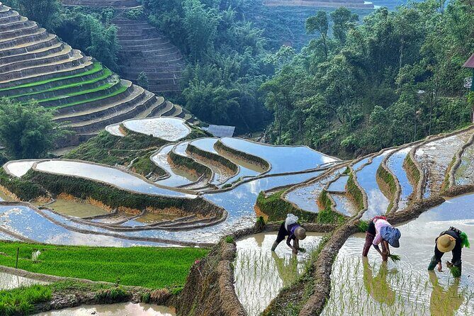 Hanoi to Sapa: 2-Day Trekking Adventure with Overnight Homestay - Exploring the Itinerary in Detail