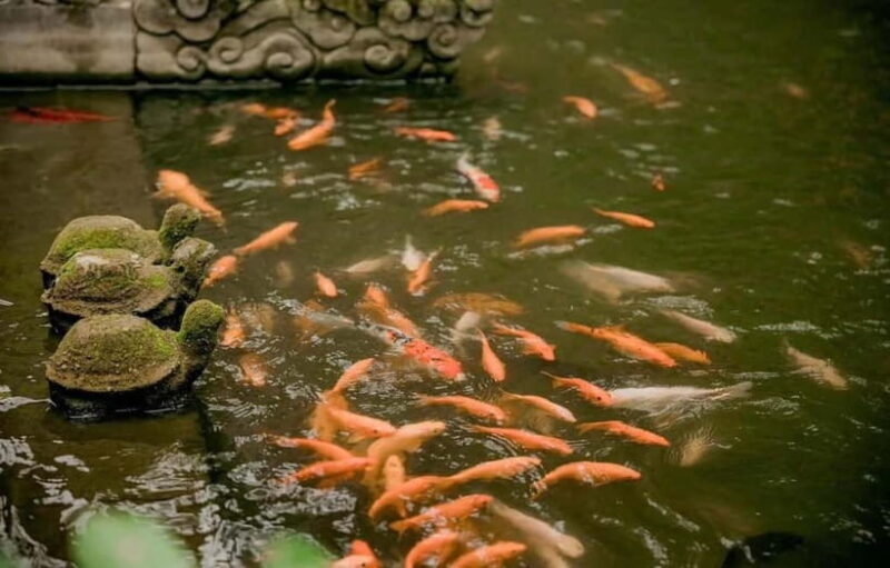 Hanoi: Viet Phu Thanh Chuong Guided Tour with Lunch & Pickup - Key Points