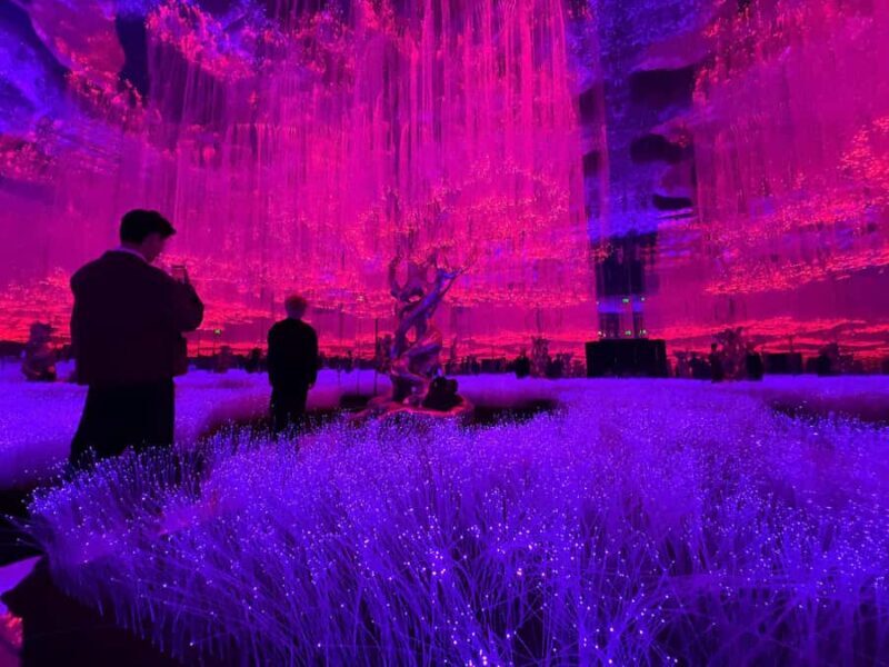 Hanoi: X Space Immersive Digital Art Experience Entry Ticket - What to Expect During the 1-Hour Visit