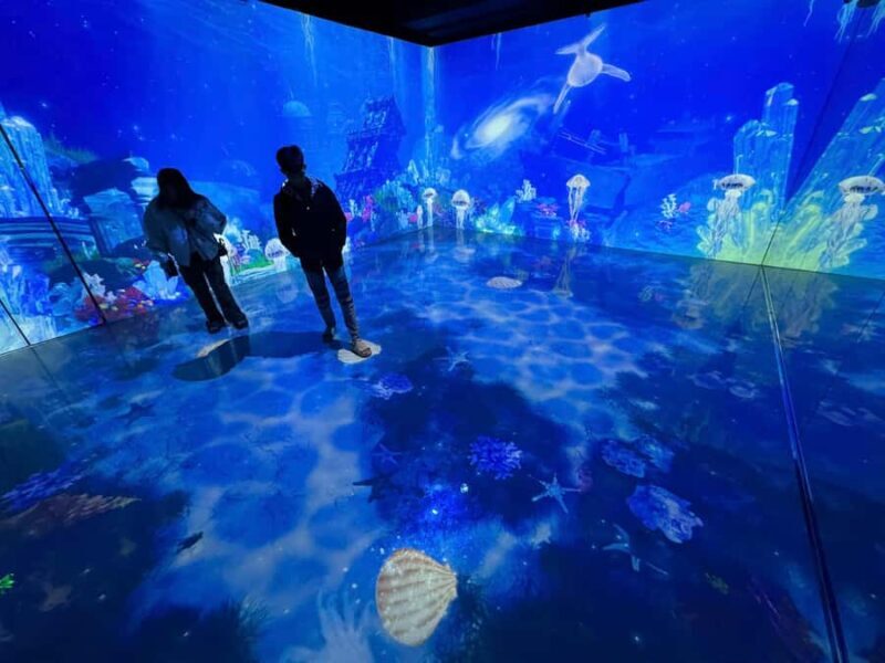 Hanoi: X Space Immersive Digital Art Experience Entry Ticket - The Value of the Experience