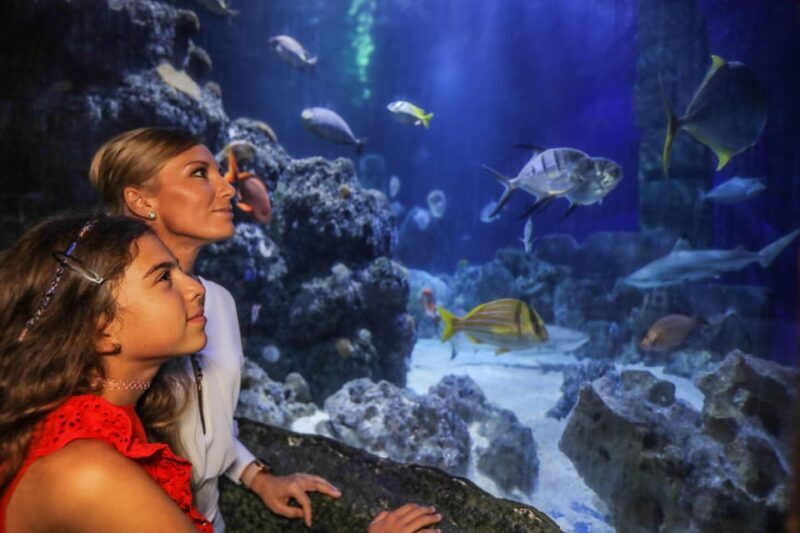 Hanover: SEA LIFE Entry Ticket - The Value of the Experience