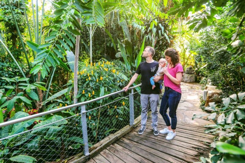 Hanover: SEA LIFE Entry Ticket - Who Will Love It?