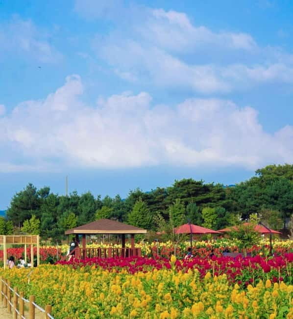 Hantan Canyon & Goseokjeong Flower Garden & Pink Muhly Park - A Detailed Look at the Tour Experience