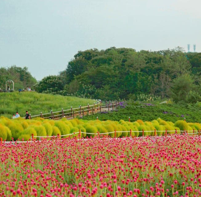 Hantan Canyon & Goseokjeong Flower Garden & Pink Muhly Park - FAQs