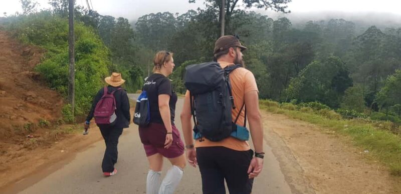 Hantana Mountain Range Pekoe Trail Full Day Hike from Kandy - Who Would Love This Tour?