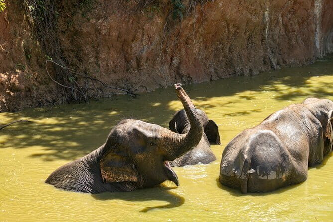 Hanuman World Zipline Adventure in Phuket's Lush Jungle - FAQ Section