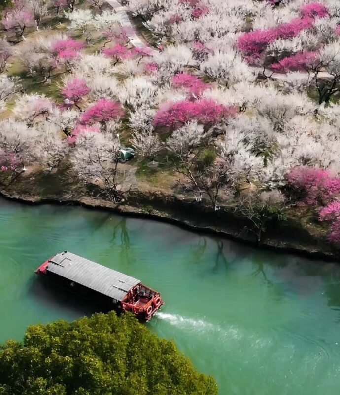 Hanzghou H-quality daytour: Xixi Wetland & Longjing Village - Why This Tour Is a Great Choice