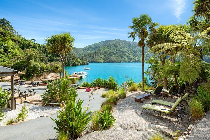 Happy Hour Cruise to Lochmara -from Picton? Take a short cruise - An Authentic, Practical Overview of the Cruise Experience