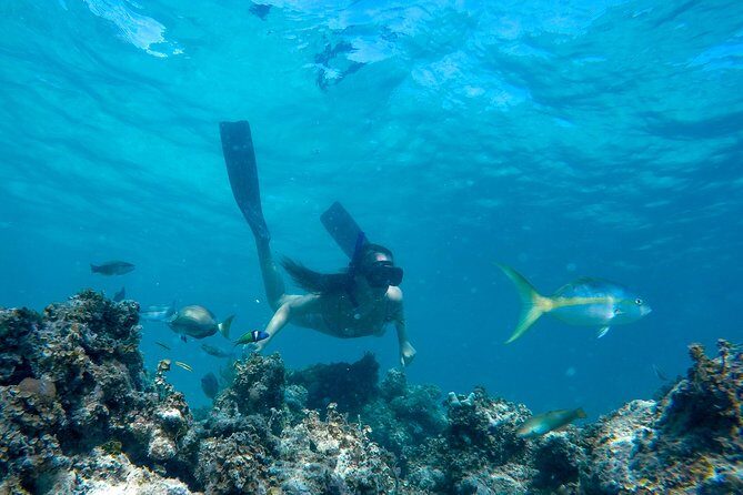 Happy Hour Sailing Cruise from Punta Cana - Analyzing the Value & Practicalities