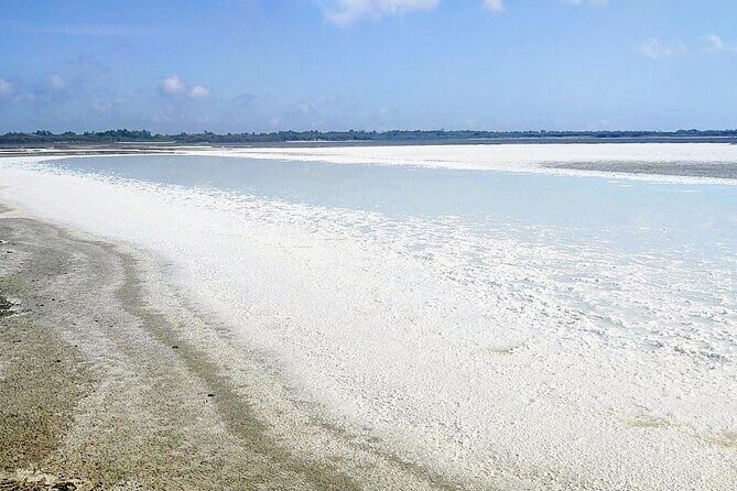 Happy tour camargue an immersion by bike and scooter E - FAQ – Your Practical Questions Answered