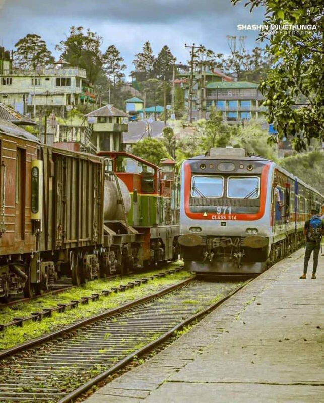 Haputale Day Tour by Tuk Tuk - Nature & Culture - Who This Tour Is Best For