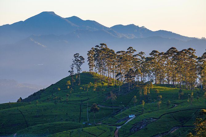 Haputale Highlands from Nuwara Eliya - Key Points