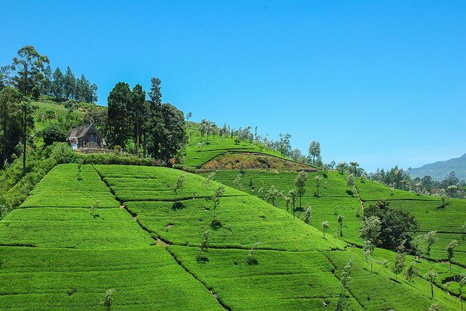 Haputale Highlands from Nuwara Eliya - A Closer Look at the Itinerary and Highlights