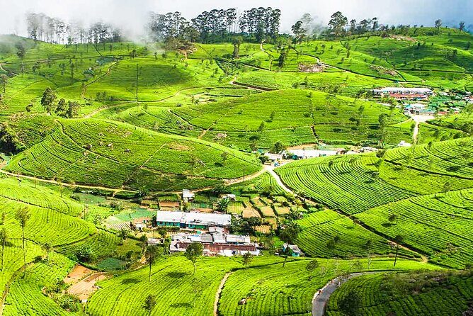 Haputale Highlands from Nuwara Eliya - Final Thoughts