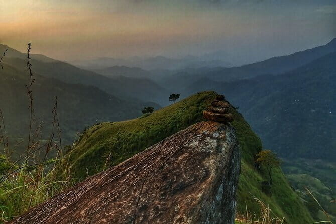 Haputale Tea Estate Walking Tour From Ella - Who Should Consider This Tour?
