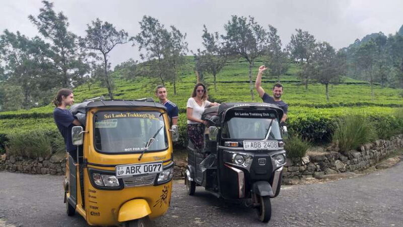 Haputale:Glorious Tuk Tuk Ride to Lipton'sSeat & Tea Factory - Key Points