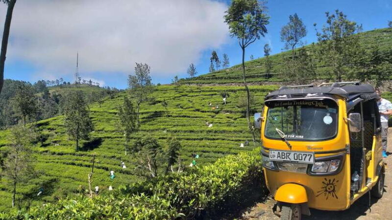Haputale:Glorious Tuk Tuk Ride to Lipton'sSeat & Tea Factory - Dambatenne Tea Factory Tour