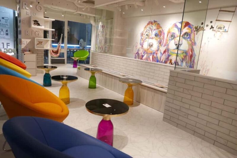 Harajuku: Heartwarming Dog Interaction in Inucafe Rio - Key Points