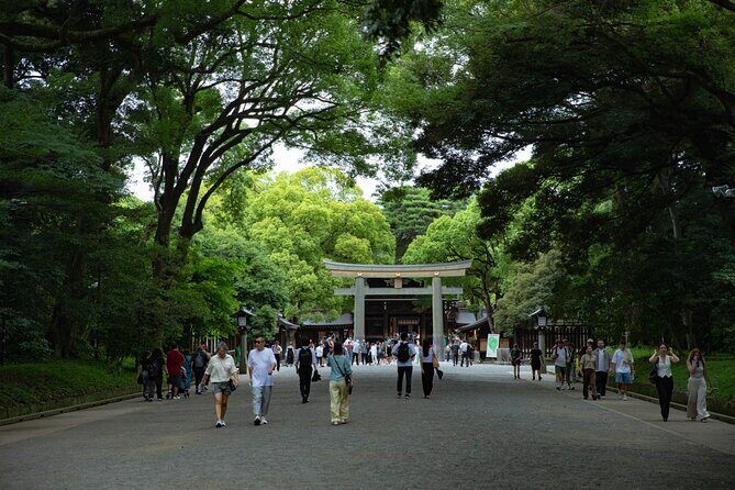 Harajuku Meiji Shrine Walking Tour in Tokyo - Practical Tips for Participants