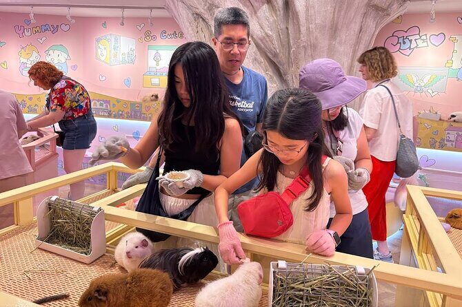 Harajuku Private Tour: Kawaii Fashion & Animal Cafe Included - Who Should Book This Tour?