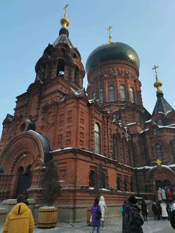 Harbin: Guided Day Tour with Hotel Pickup - Who Should Book This Tour?