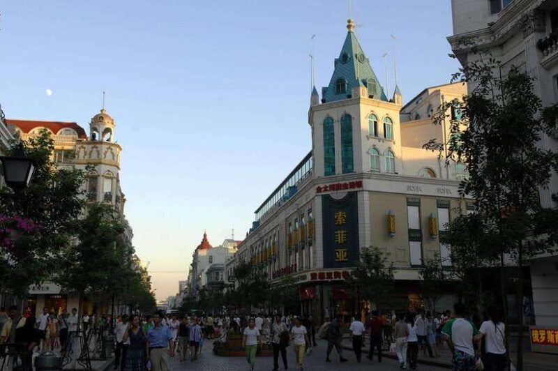 Harbin Ice and Snow Fairyland Private Day Tour - What makes this tour stand out?