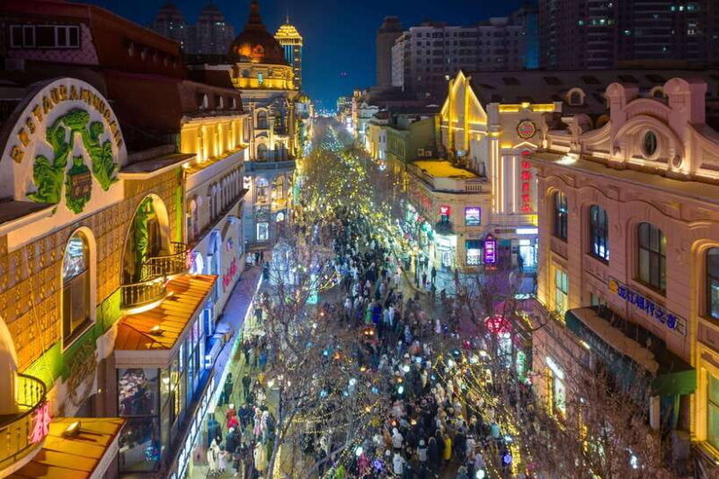 Harbin Ice and Snow Fairyland Private Day Tour - Who should consider this tour?