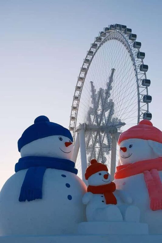 Harbin: Ice and Snow World Entry Ticket - Who Will Love This Experience?