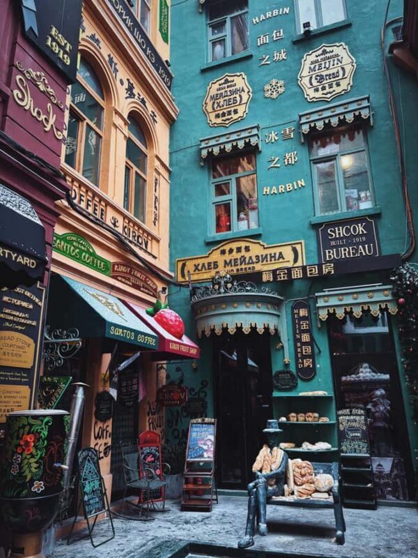 Harbin: Local Markets, Central Street, & Flexible Itinerary - Key Points