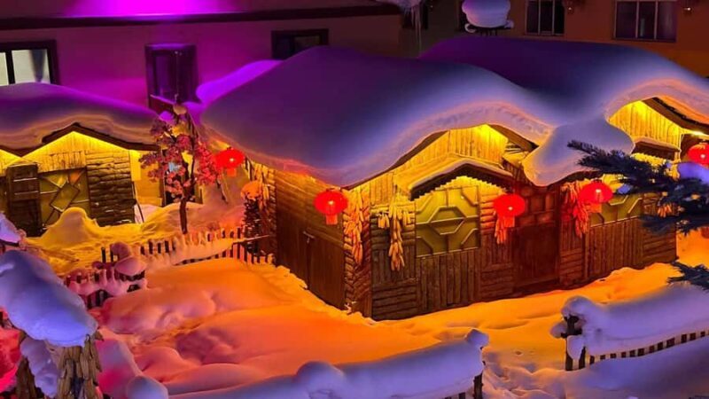 Harbin: Snow Town Day Trip with Sleigh Ride & Snowmobile - Who Will Love This Tour?