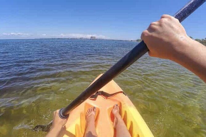Harbor Kayak Rental in Destin, Florida - An In-Depth Look at Harbor Kayak Rentals in Destin