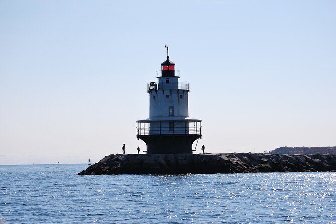Harbor Lights and Sights Cruise - Wildlife and scenery