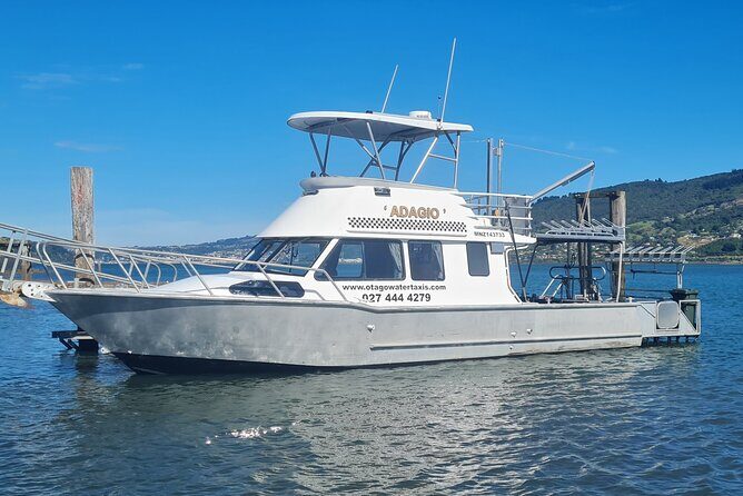 Harbour, Albatross and Wildlife Cruise on Otago Harbour - Exploring Otago Harbour: A Natural Wonder
