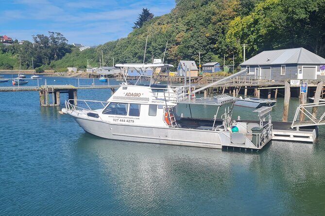 Harbour, Albatross and Wildlife Cruise on Otago Harbour - Final Thoughts