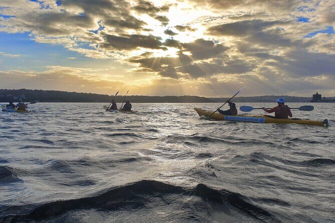 Harbour Bridge Breakfast Paddle - What Makes the Experience Special?