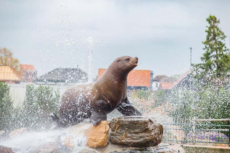 Harderwijk: Dolfinarium Entry Ticket - Final Note
