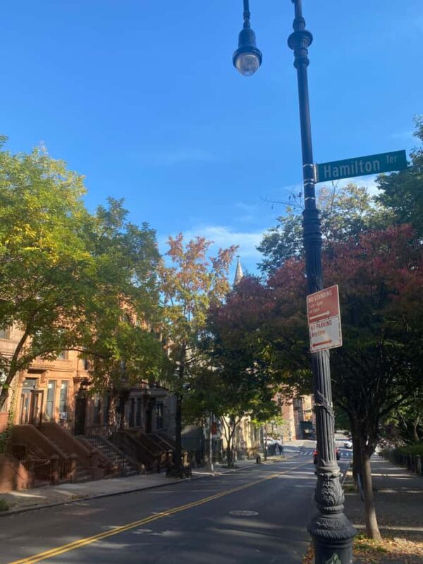 Harlem walking tour in French and Gospel Mass in a small group - Key Points