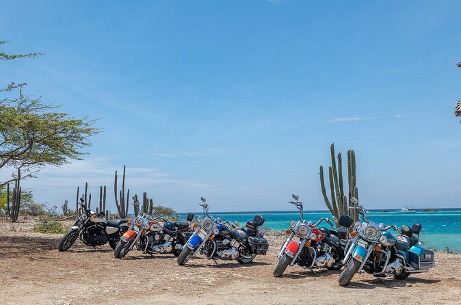 Harley-Davidson RENTALS ONLY 4 hrs - Practical Tips for Riders