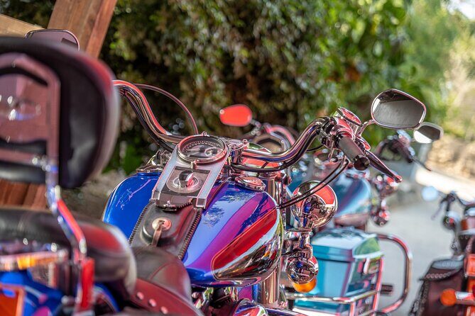 Harley-Davidson RENTALS ONLY 4 hrs - Who Will Love This Experience?