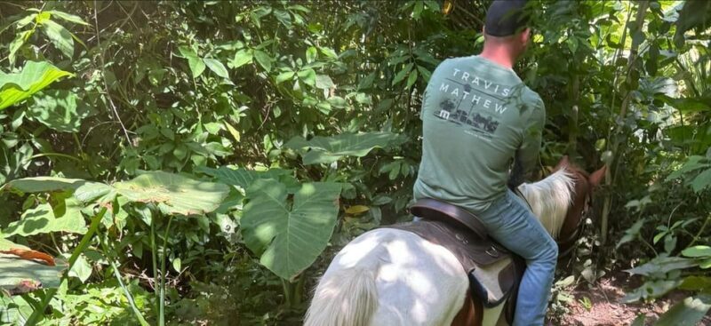 Harmony Horse Riding of Miami - Exploring the Experience: What Riders Can Expect