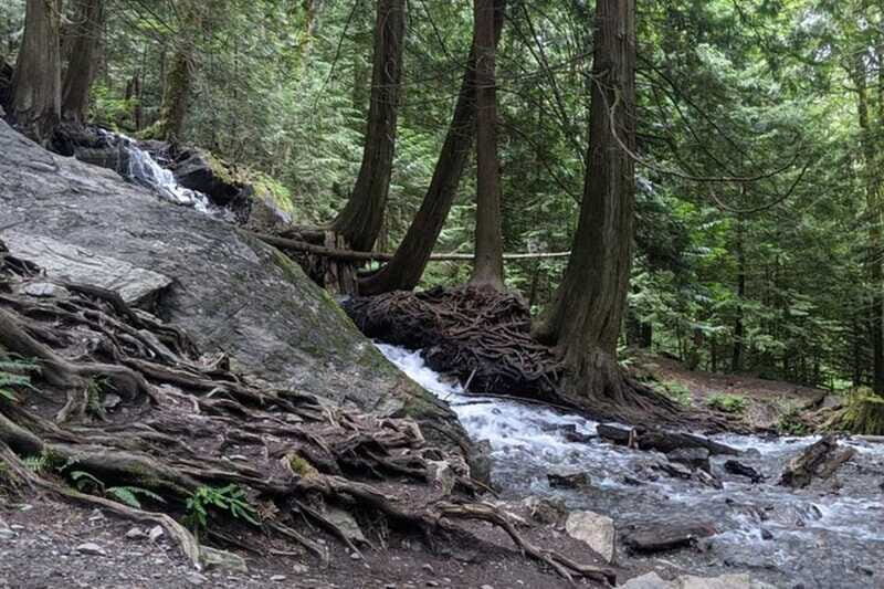 Harrison Day Trip | Harrison Hot Springs Private - Practical considerations