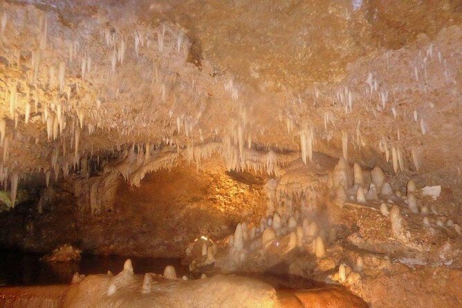 Harrison's Cave Tour from Bridgetown - The Sum Up: Who Will Love This Tour?