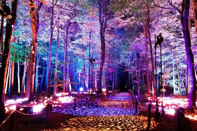 Harry Potter A Forbidden Forest Experience in Brisbane Australia - What Makes This Experience Stand Out?