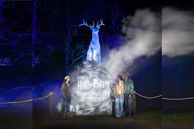 Harry Potter A Forbidden Forest Experience in Brisbane Australia - Costs and Value