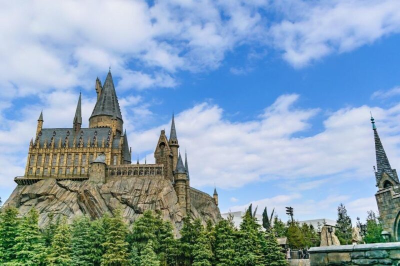 Harry Potter Private Tour in London The Magic Continues - Tower Bridge and the Thames