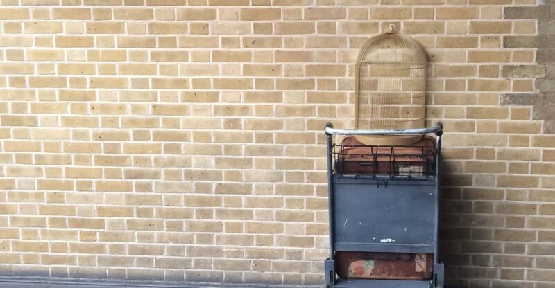 Harry Potter Private Tour of London in Spanish - Final Thoughts