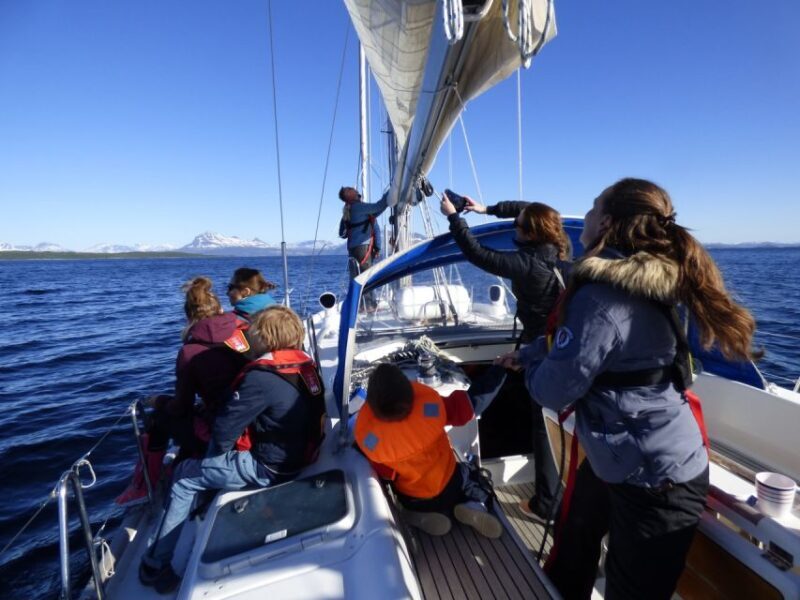 Harstad: Fjordcruise sailing with skipper - A Closer Look at the Fjordcruise Experience