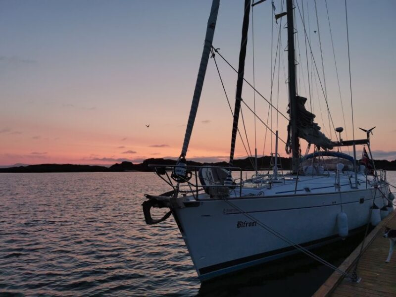 Harstad: Fjordcruise sailing with skipper - Final Thoughts: Who Will Love This Tour?